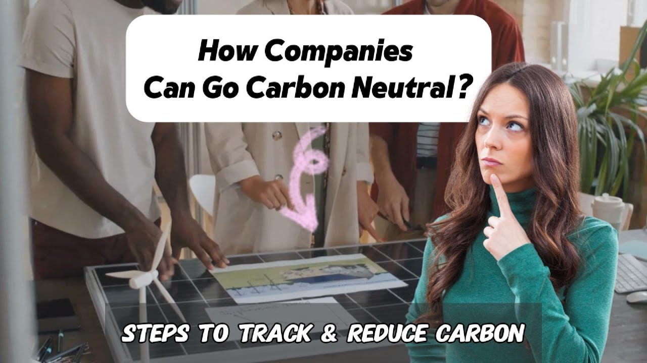 How Companies Can Go Carbon Neutral