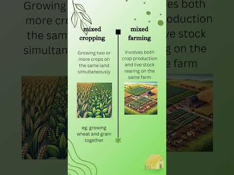 Difference between mixed cropping and mixed farming. #agriculture #education #shortsfeed #shorts