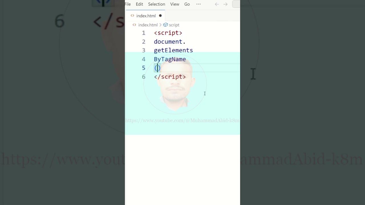 JavaScript Tutorial for Beginners / JavaScript learn / Dom get Elements By Tag Name tag