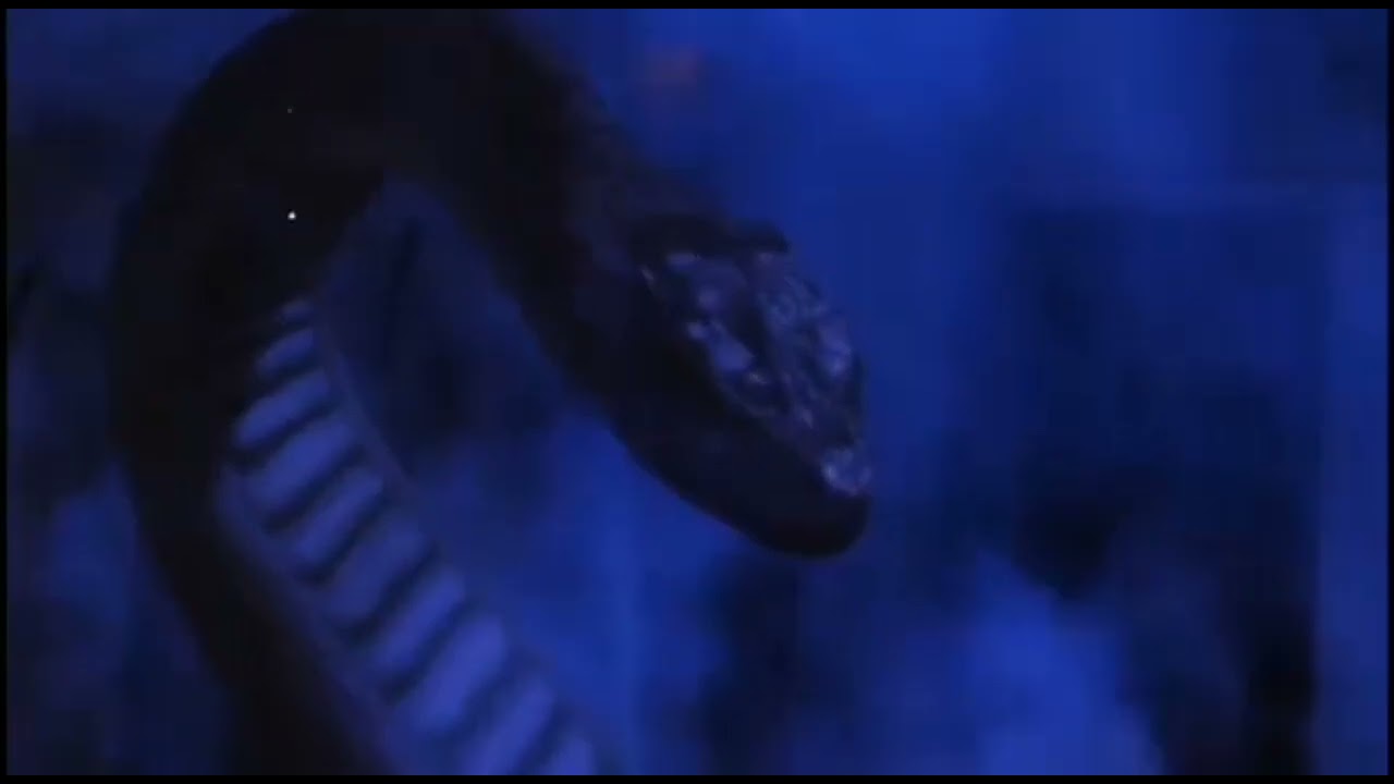 python 2 2002-python screen time