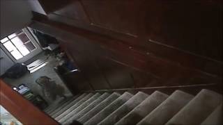 Teletubbies Tap Dancing Inside Story Watch HD Mp4 Video Download Free