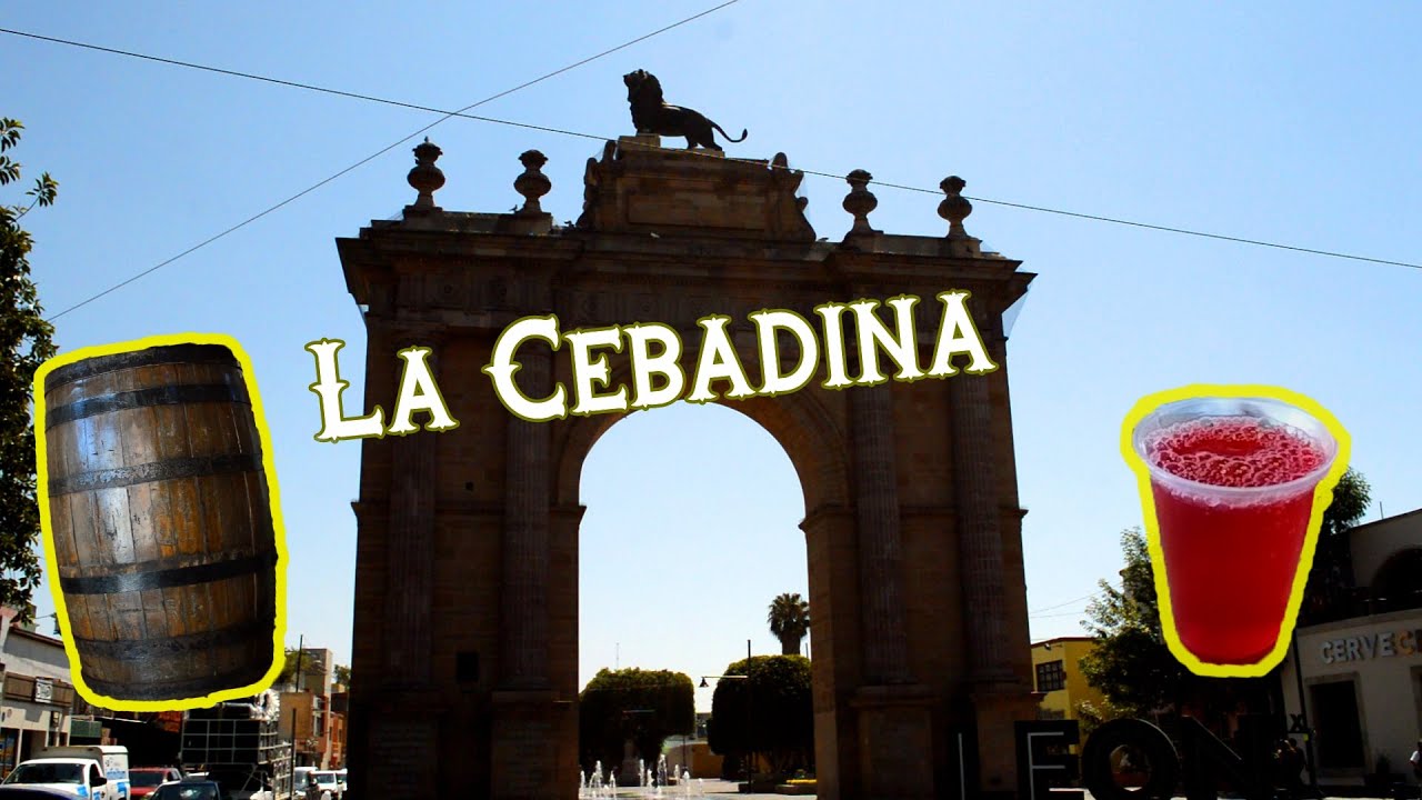 CEBADINA 🍷la Bebida que no conocías 😯 ???
