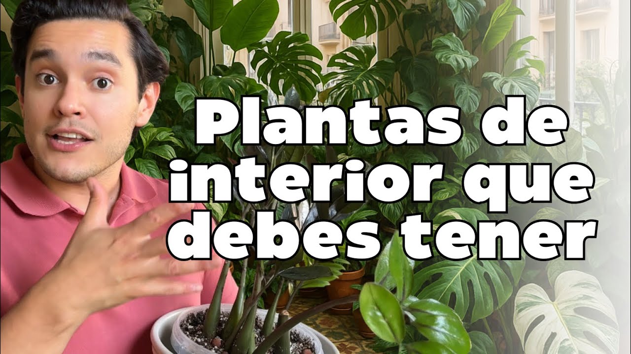 The 15 Best Indoor Plants (Easy and Beautiful) | Queen Plant Guide 💚