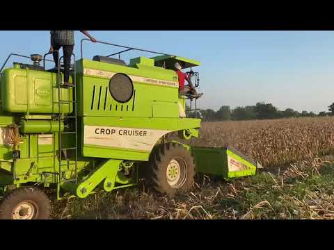 Maize Harvester at Best Price in India