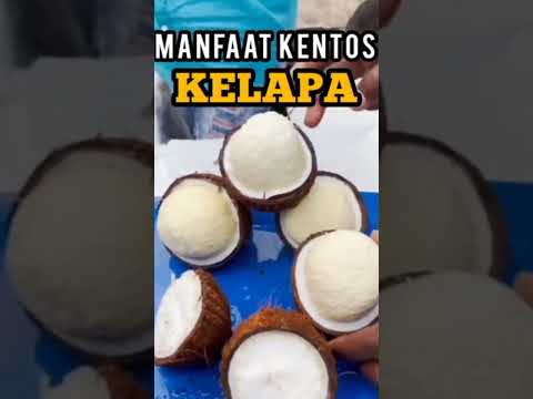 #shorts TERNYATA BANYAK MANFAATNYA