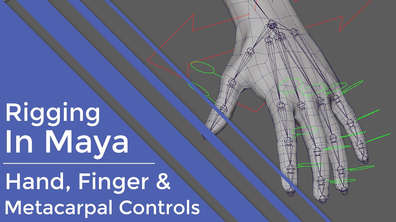 #RiggingInMaya | Part 6 | Basics | Hand Rigging