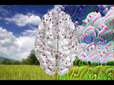 Lunch Hour Lecture: Finding the network balance in Parkinson's disease hallucinations