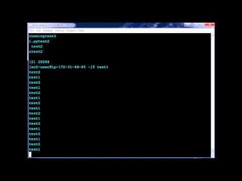 Learn Running multiple scripts at the same time in background VPS with AWS EC2 and Python Intro ...