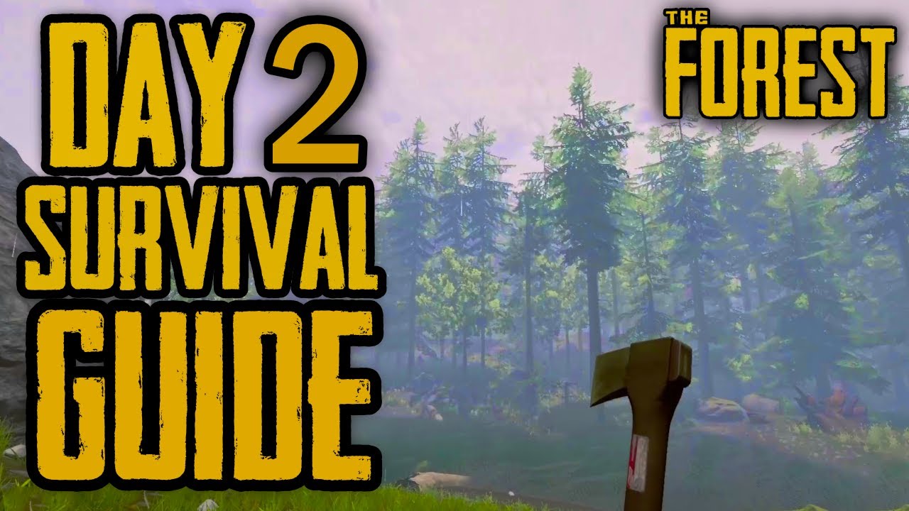How to Survive DAY 2 - The Forest Beginners Guide