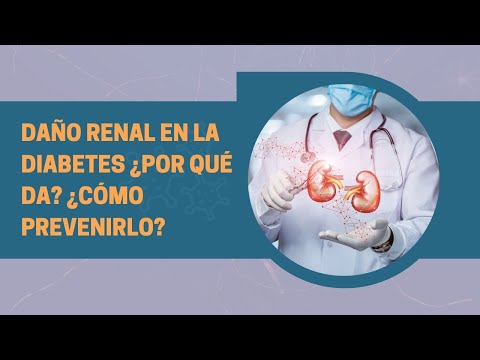 ¿Por qué la diabetes daña el riñón?