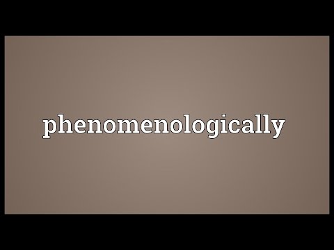 Phenomenologically Meaning