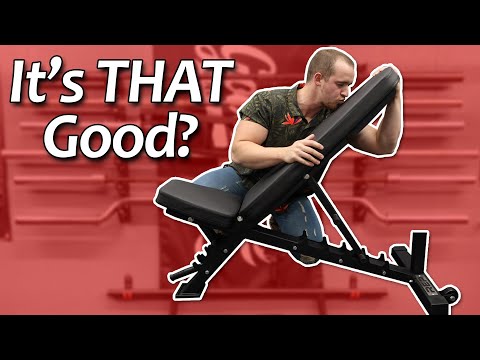 Rep Fitness AB-3100 Review