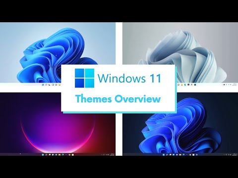 Windows 11 Themes Overview | Dynamic Tech
