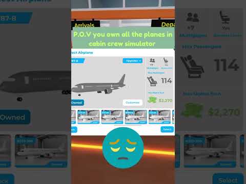 P.o.v you own all the planes in cabin crew simulator (Roblox)
