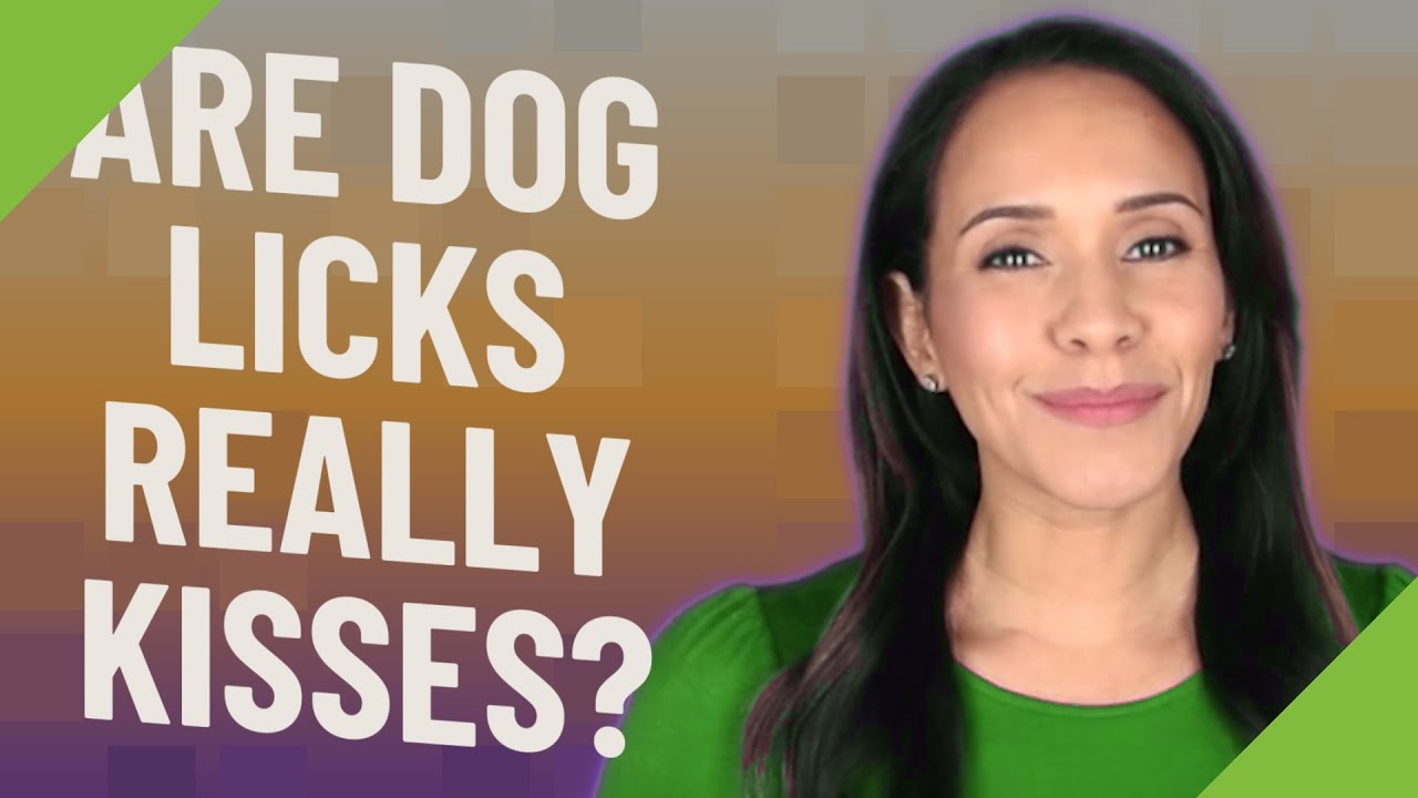 Are dog licks really kisses?