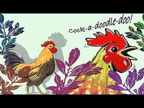 American Sign Language ASL Video Dictionary - cock a doodle doo