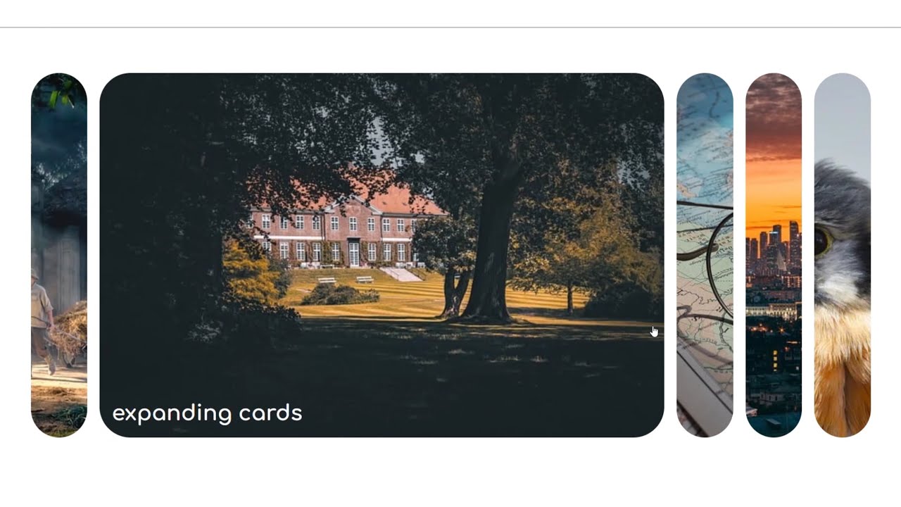 How To Create Expanding Image Gallery Using HTML  CSS & JS | Expandable Card on Hover | @codebrowser