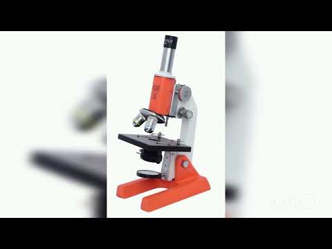 Monocular Microscope at Best Price in India