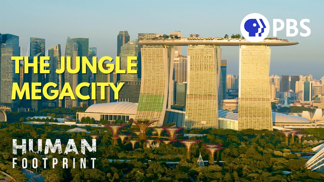 Singapore: Designing a Megacity in Harmony with Nature 🌳