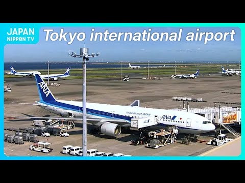 【Live】Tokyo International Airport ,Haneda Plane Spotting (NipponTV News24) IATA: HND, ICAO: RJTT