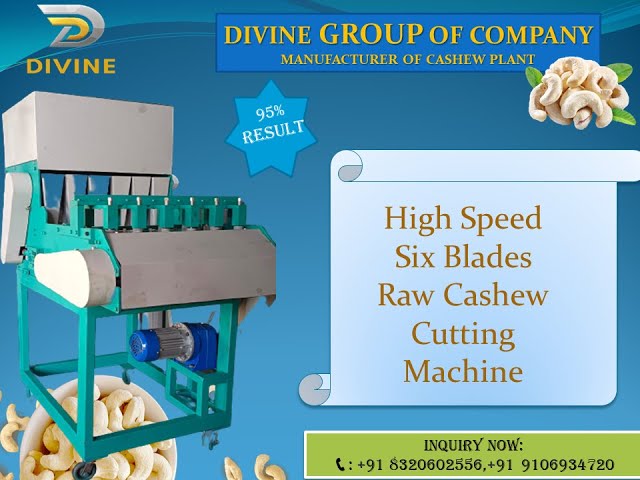Cashew Nut Cutting Machine - 6 Blade Mild Steel Cashew Cutter ...