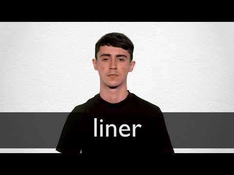 LINER definition in American English | Collins English Dictionary