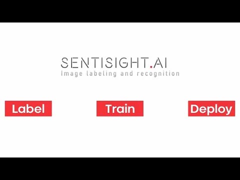 SentiSight.ai image labeling and recognition platform