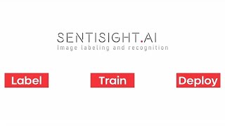 SentiSight.ai Software - 2025 Reviews, Pricing & Demo
