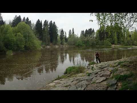 Testing Gaelforce Destination #7/8 13´9 and NC F2F70 #8/9 speyline