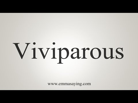 How To Say Viviparous