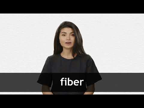 FIBER definition and meaning | Collins English Dictionary