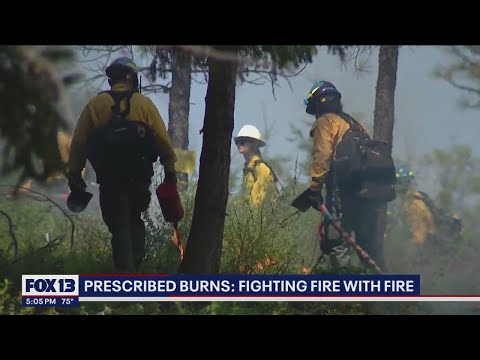 Fighting fire with fire in Cle Elum | FOX 13 Seattle