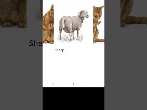 Farm animals learn name by pictures #shorts #picturebook