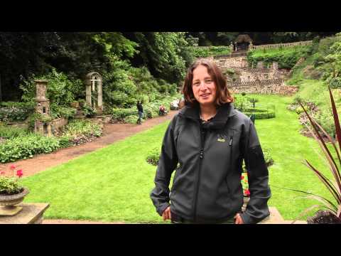 Wex Walkabouts | Gardens with Victoria Hillman