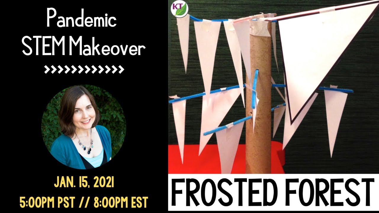 Pandemic Makeover: Frosted Forest STEM Challenge