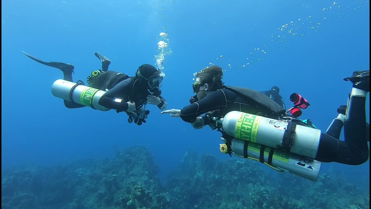 Roatan Tec Diving Course