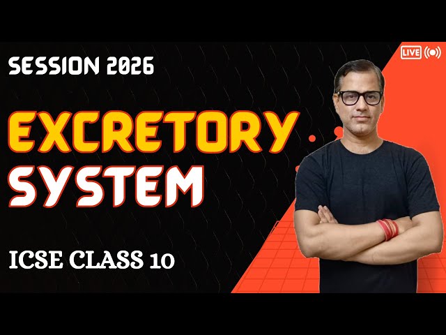 Understanding the Excretory System: A Comprehensive Guide for Class 10 ICSE Students | Galaxy.ai ...