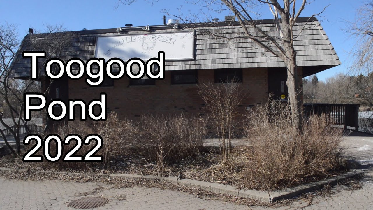 Toogood Pond 2022
