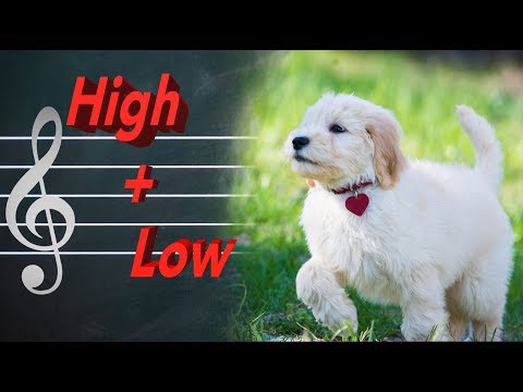 What is Melody? | For Music Class or Distance Learning