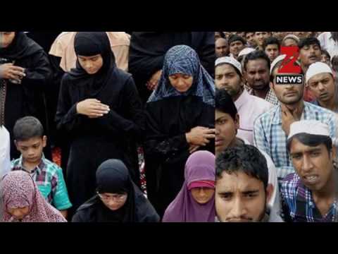 `India will have maximum Muslims in the world by 2050`
