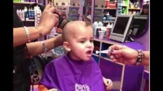 THE ALEX MANDARINO FOUNDATION - GuideStar Profile