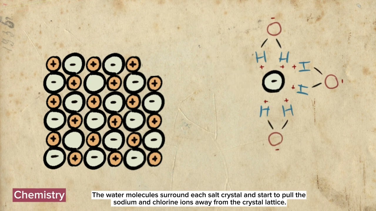 How does water dissolves salt?