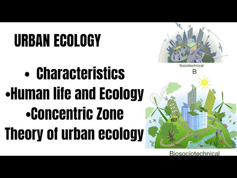 What is Urban Ecology? Discuss human life & Ecology. Define concentric zone theory of urban ecology.