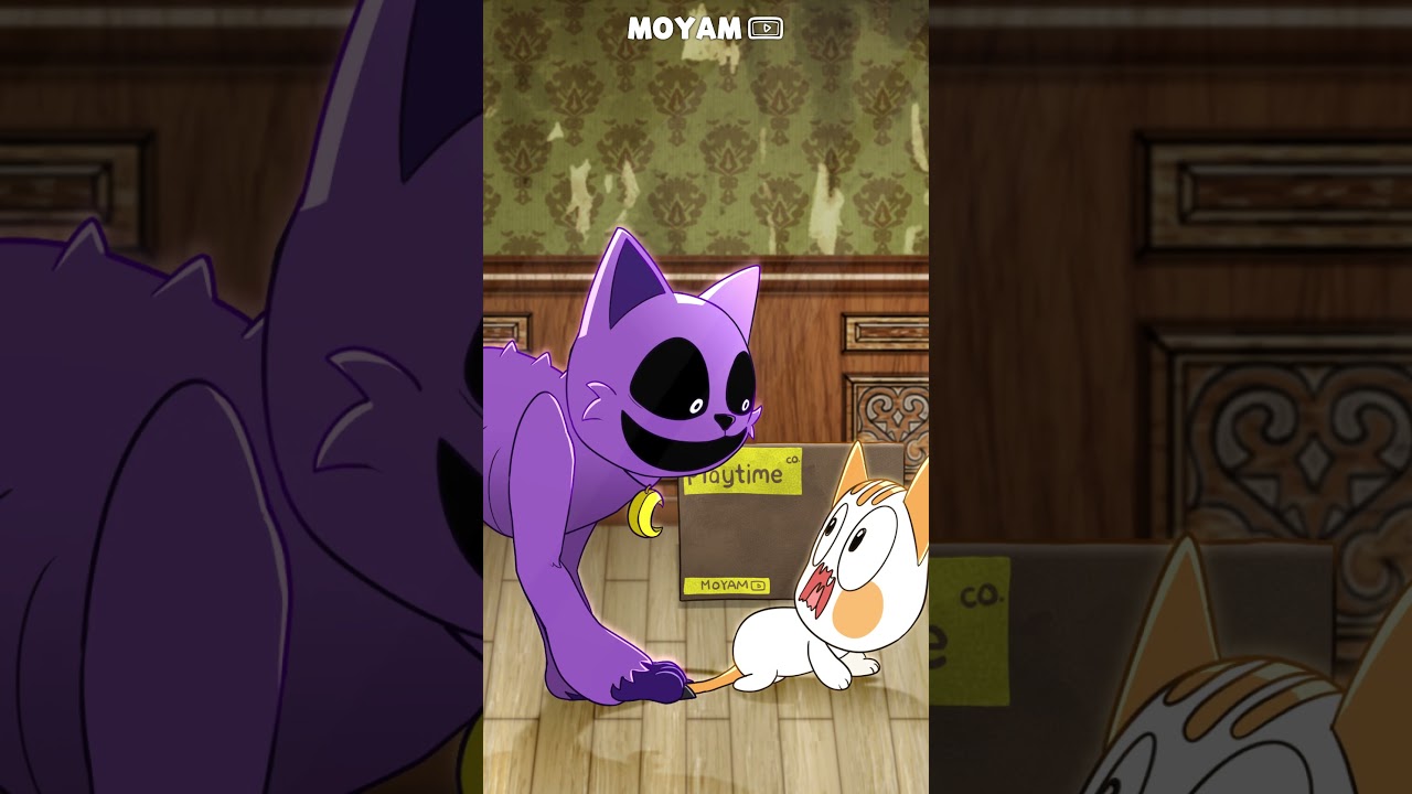 CATNAP | MOYAM