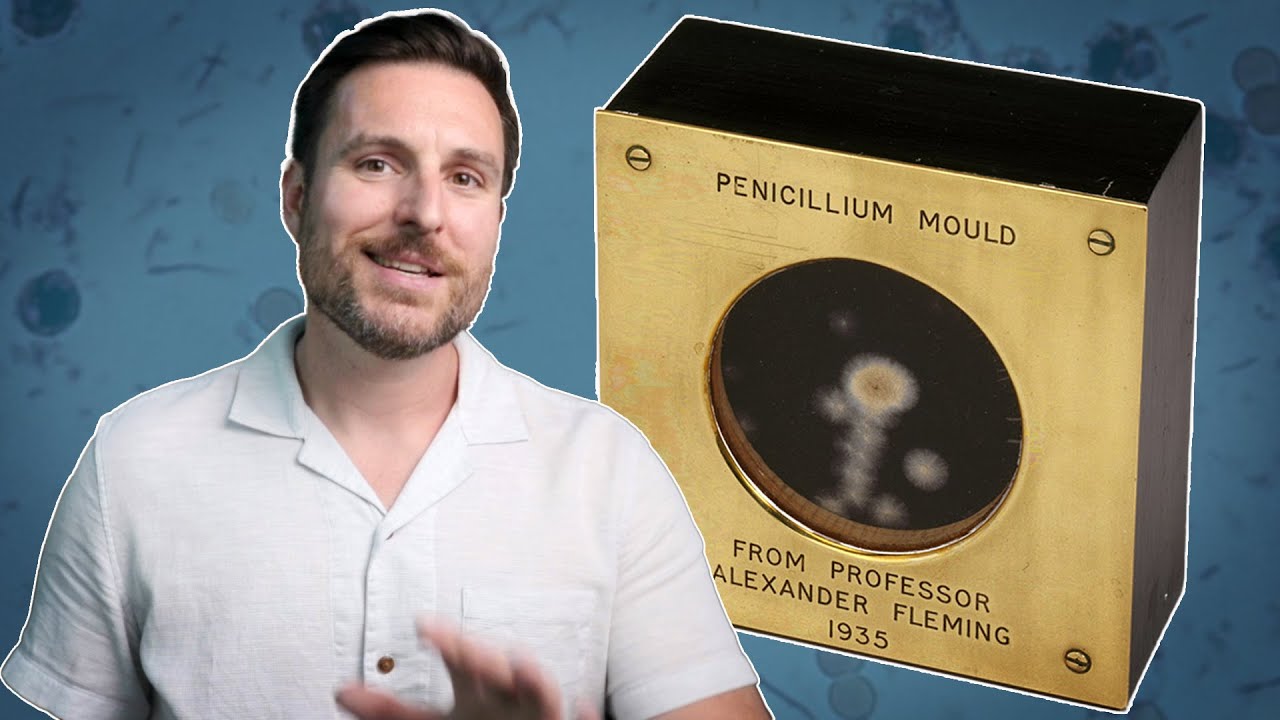 What Was The First Antibiotic?