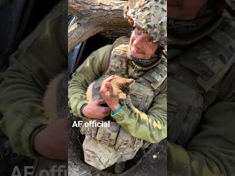 Ukrainian military with his cat #shorts