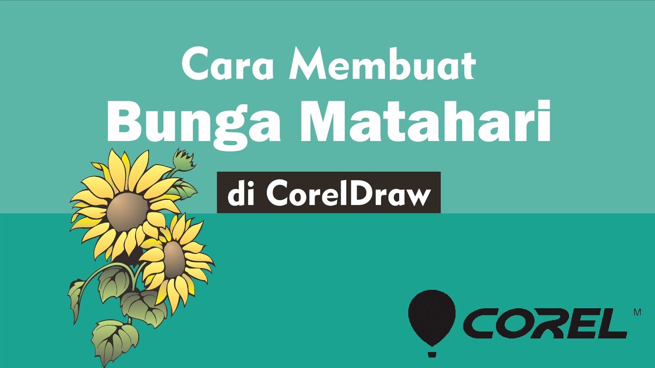 Cara membuat bunga matahari di Corel draw X7