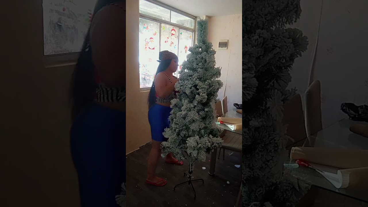 adornando la casa 🎄☃️