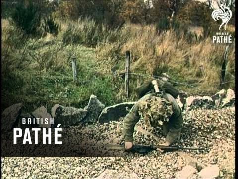 Army Endurance Test (1961)