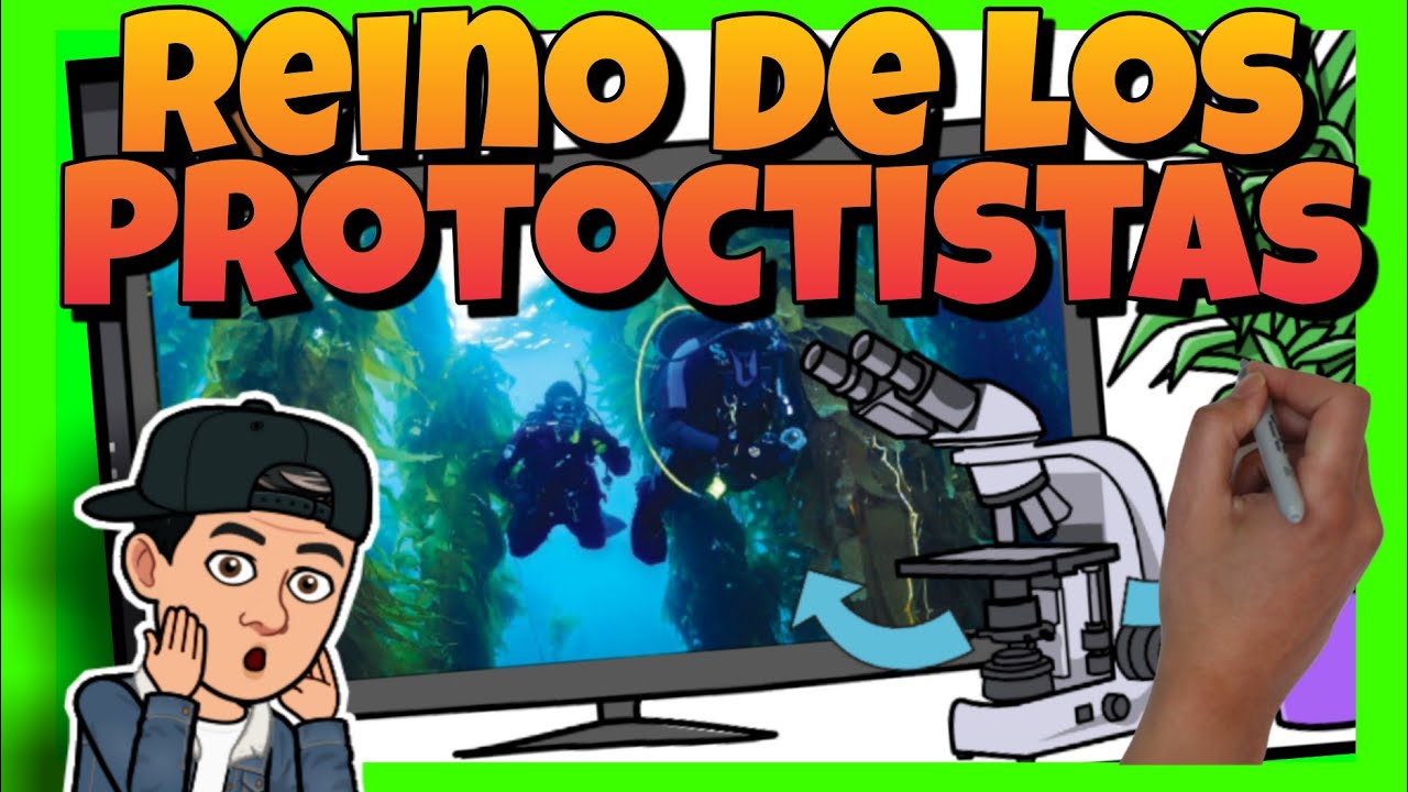 🌿 El REINO de los PROTOCTISTAS o PROTISTA para NIÑOS de PRIMARIA